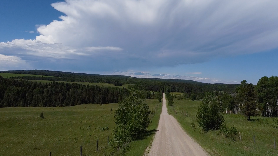 Canadian Crafted Mead | Fallentimber Meadery